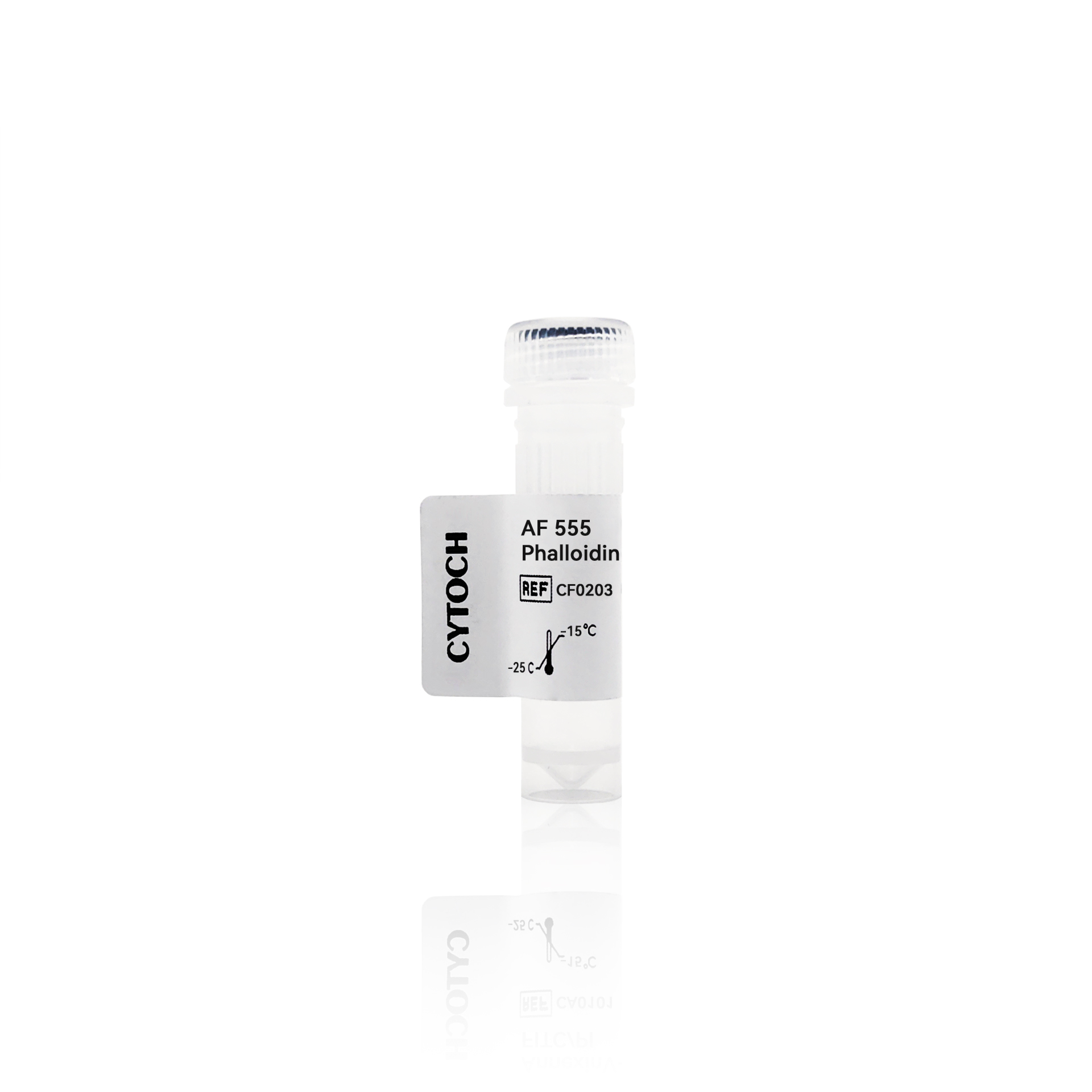 AF 555 Phalloidin AF 555 鬼笔环肽 | CF0203 - CYTOCH世途科