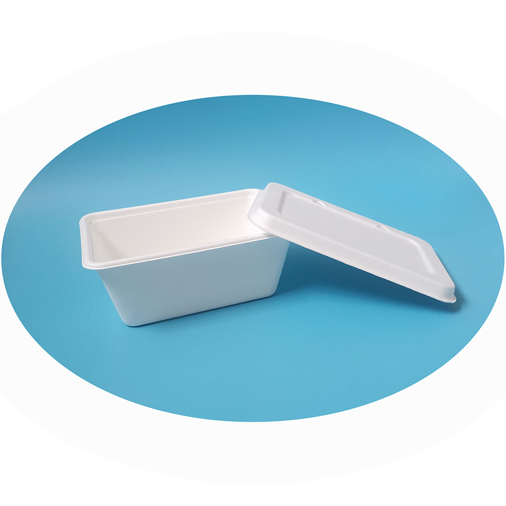 Orblink Co Ltd | Pulplas Packaging Technology Co Ltd